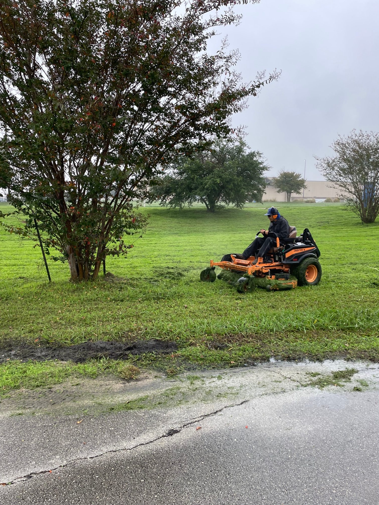 Home - Exclusive Landscaping - San Antonio & Surrounding Areas