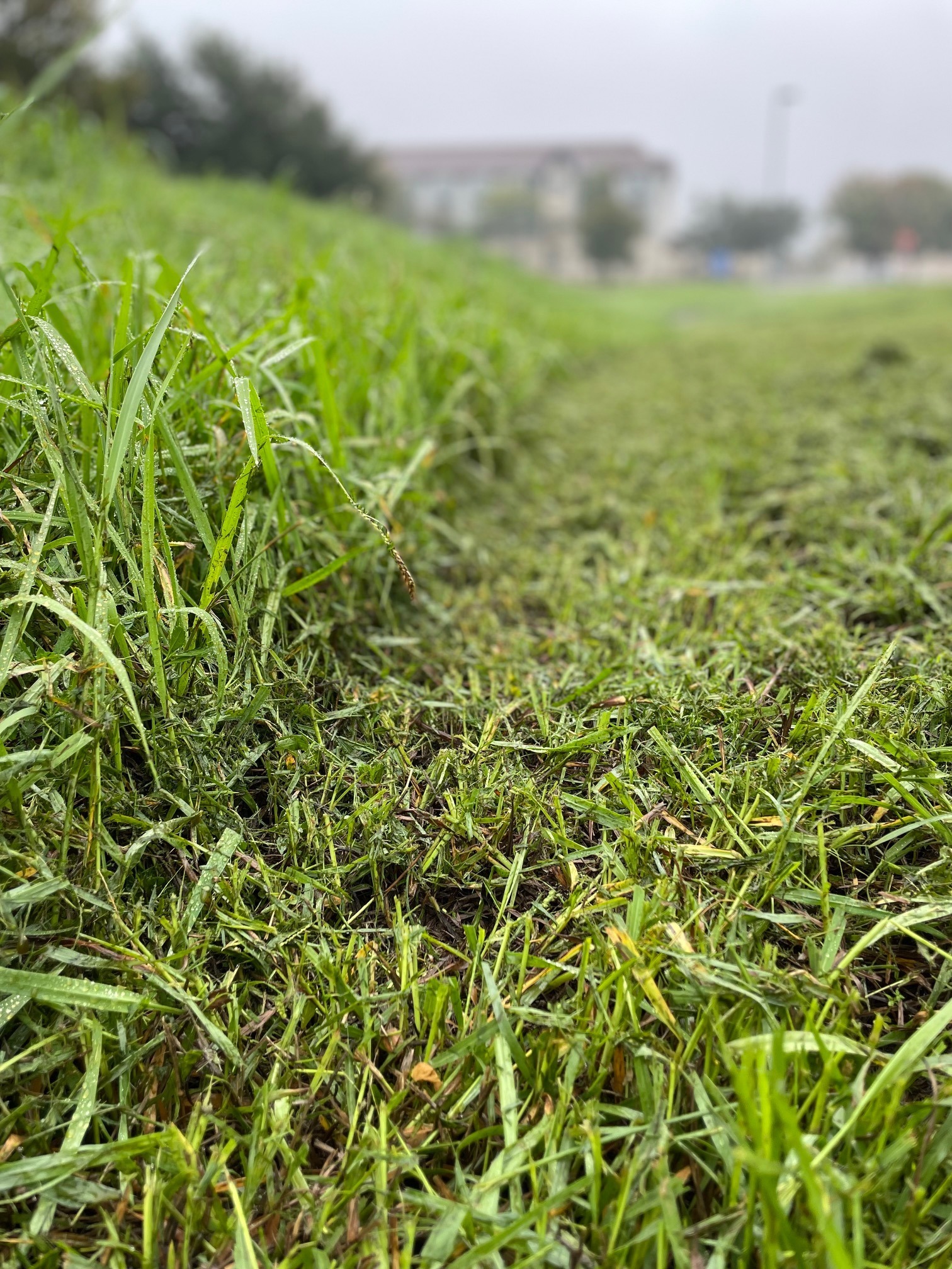 Book a Free Estimate - Exclusive Landscaping